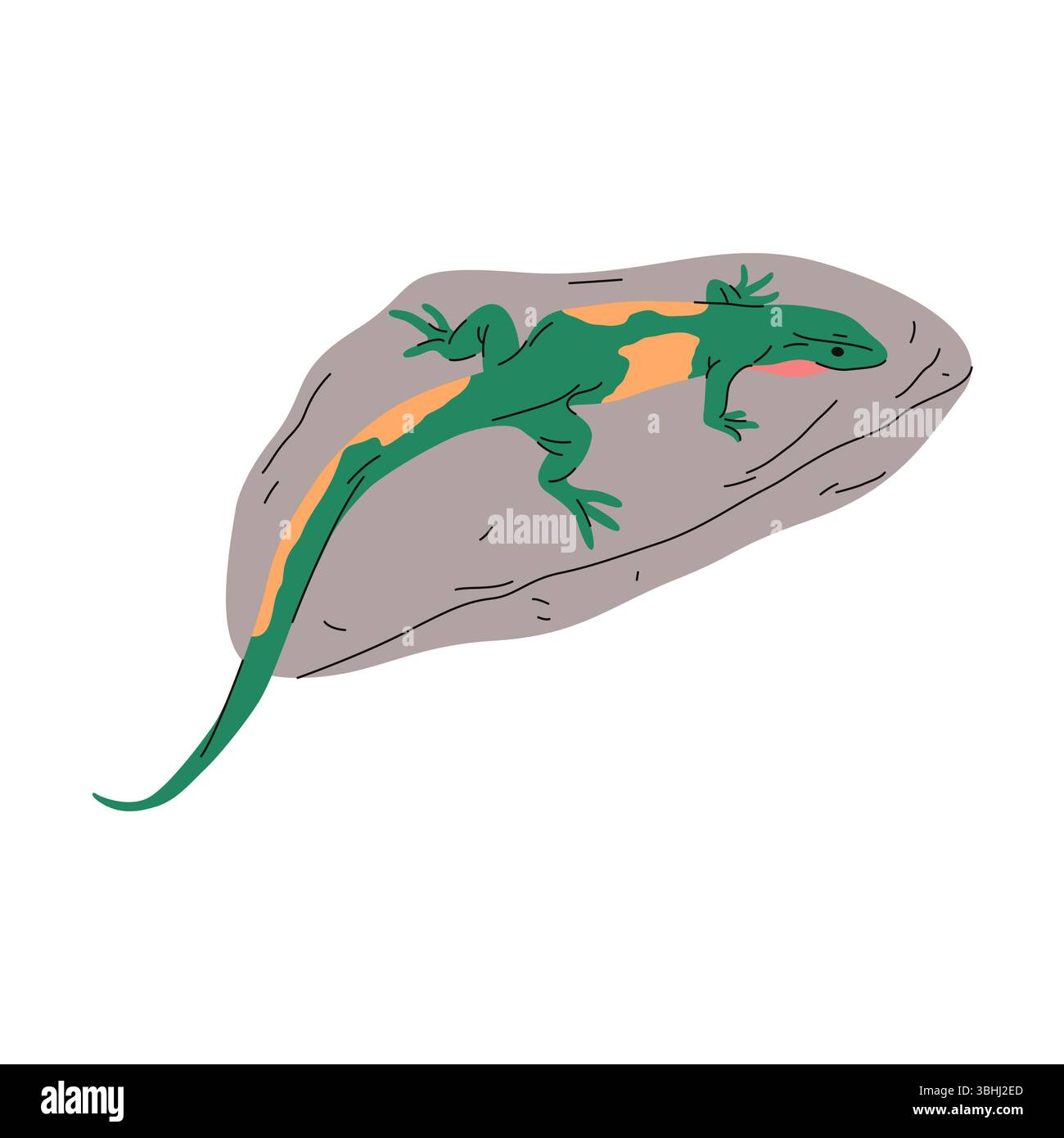 Lizard on stone or cartoon reptile on terrain. Vector desert or ...