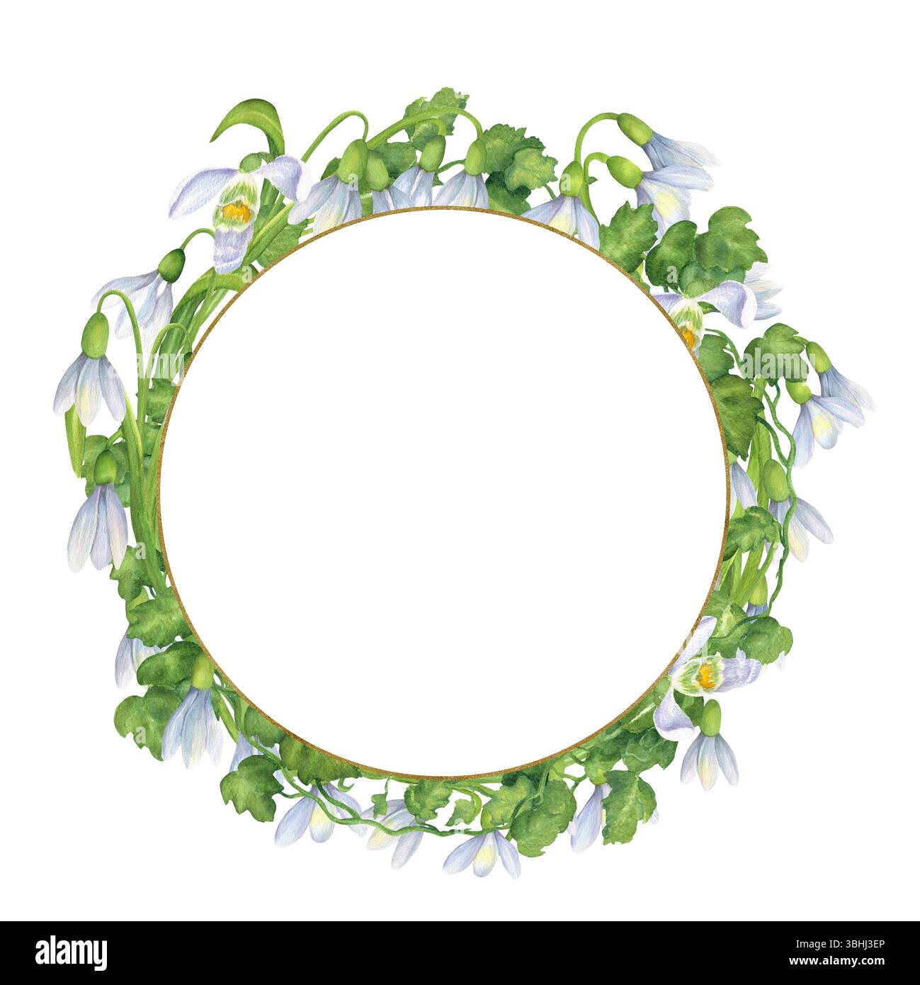 An elegant thin golden circle frame of white snowdrops flowers, ivy and ...