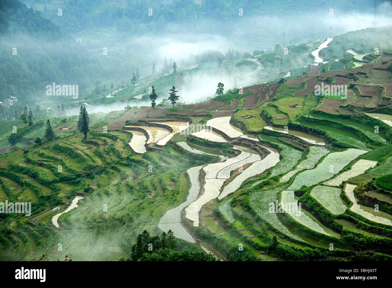 Aerial photo shows the terraced field in Youyang County, Chongqing ...