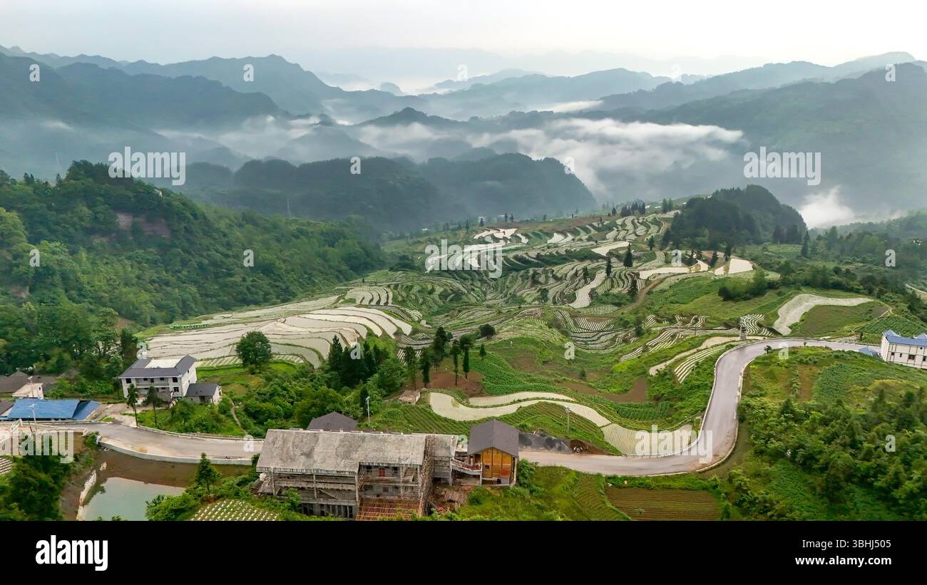 Aerial photo shows the terraced field in Youyang County, Chongqing ...