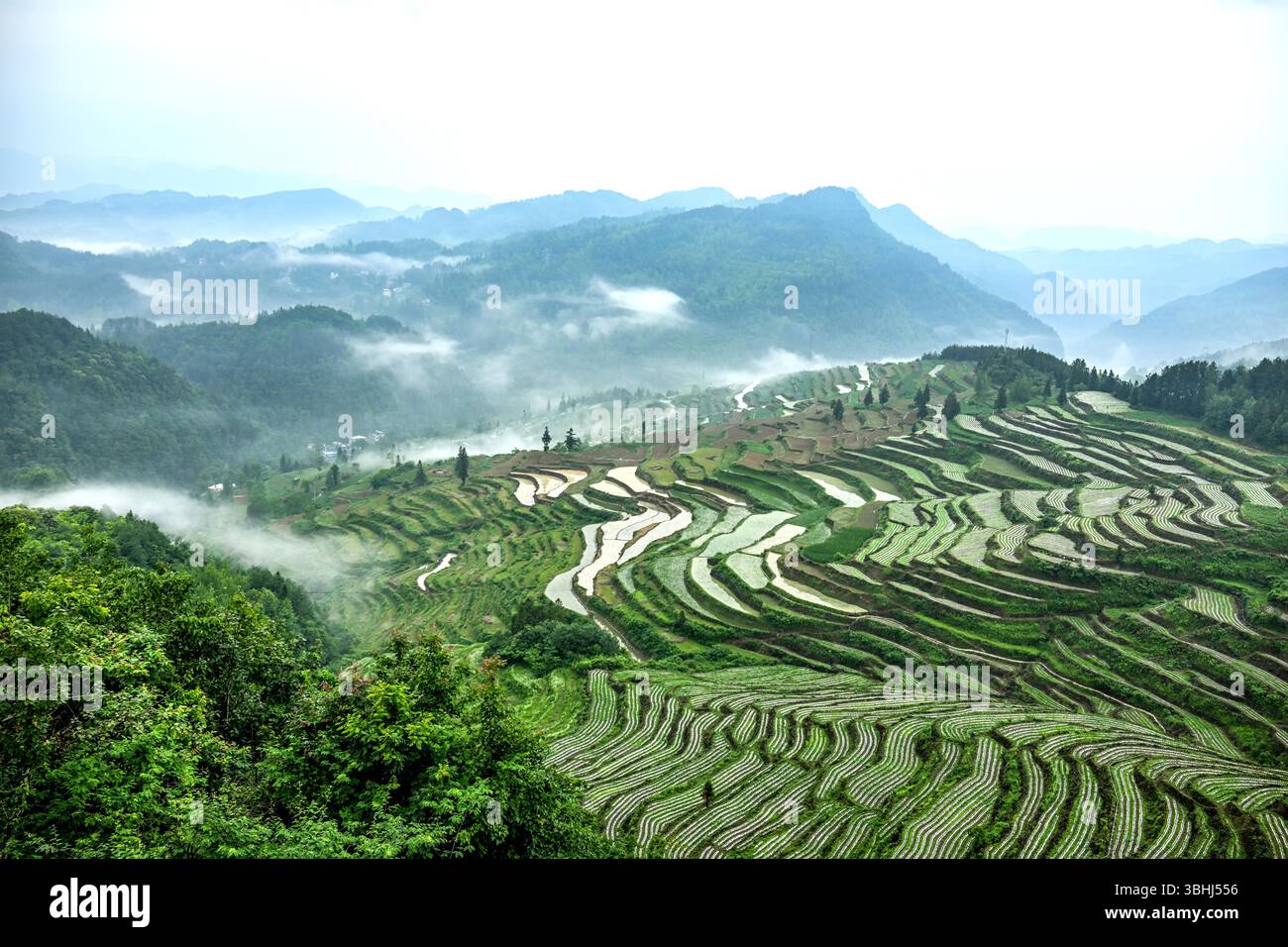 Aerial photo shows the terraced field in Youyang County, Chongqing ...