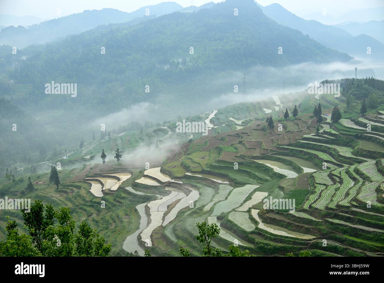 Aerial photo shows the terraced field in Youyang County, Chongqing ...