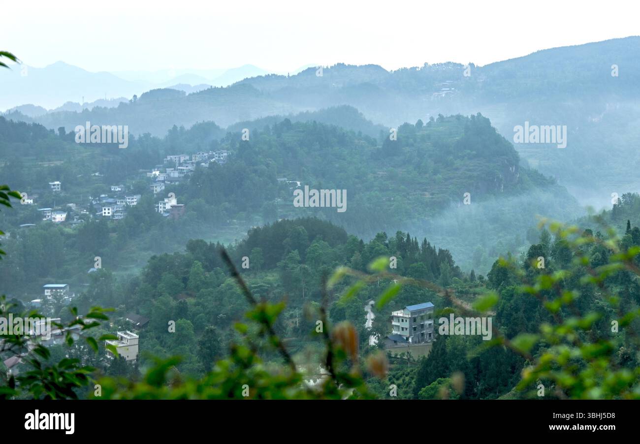 Aerial photo shows the terraced field in Youyang County, Chongqing ...