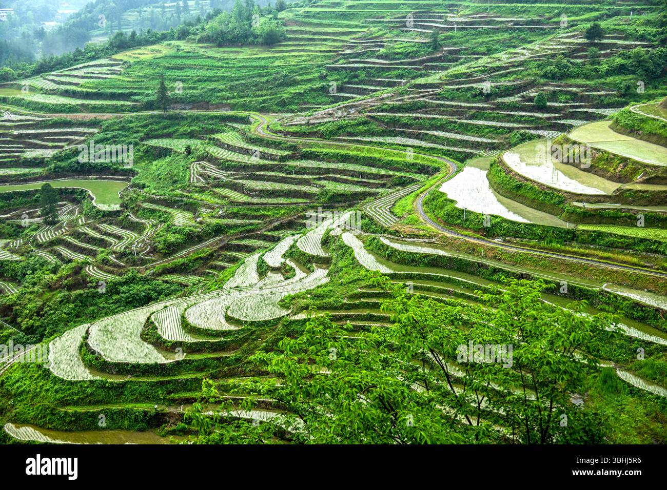 Aerial photo shows the terraced field in Youyang County, Chongqing ...