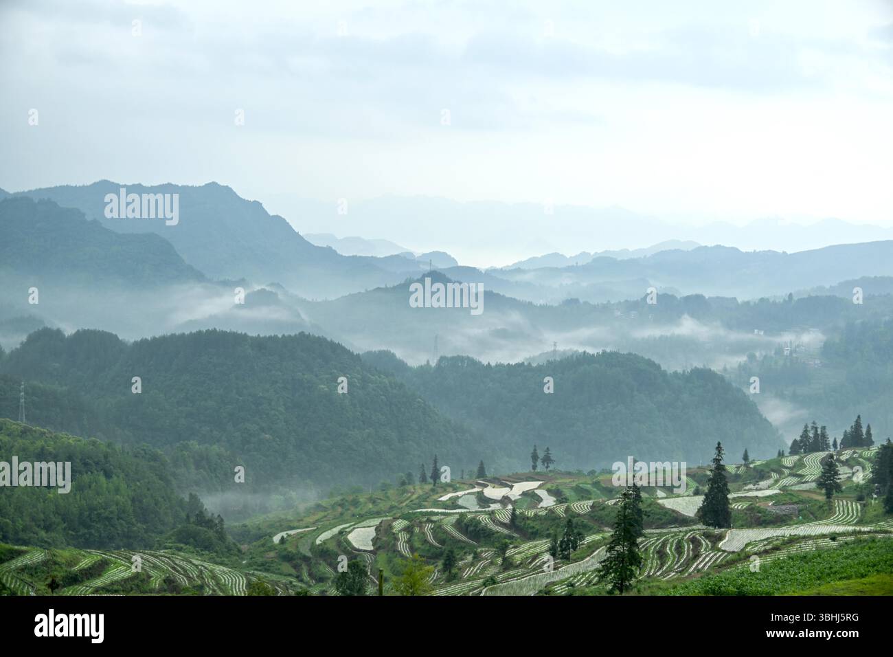 Aerial photo shows the terraced field in Youyang County, Chongqing ...