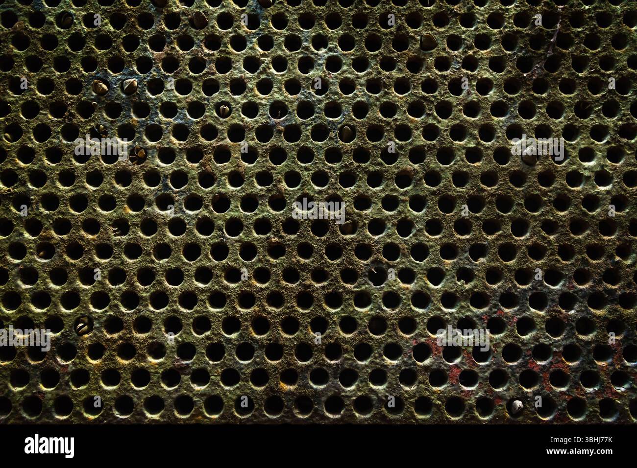 Filter holes on the hull of the vessel with the remains of seashells ...