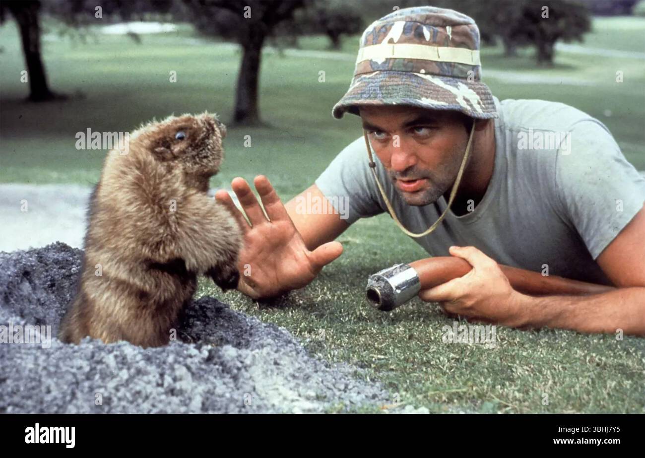 Caddyshack movie hi-res stock photography and images - Alamy