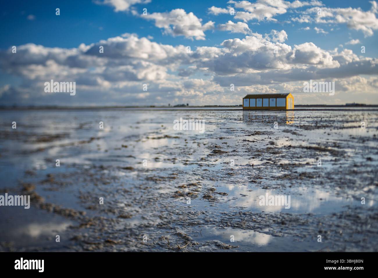 A granary stands amidst flooded rice fields after harvest in Isla Mayor ...