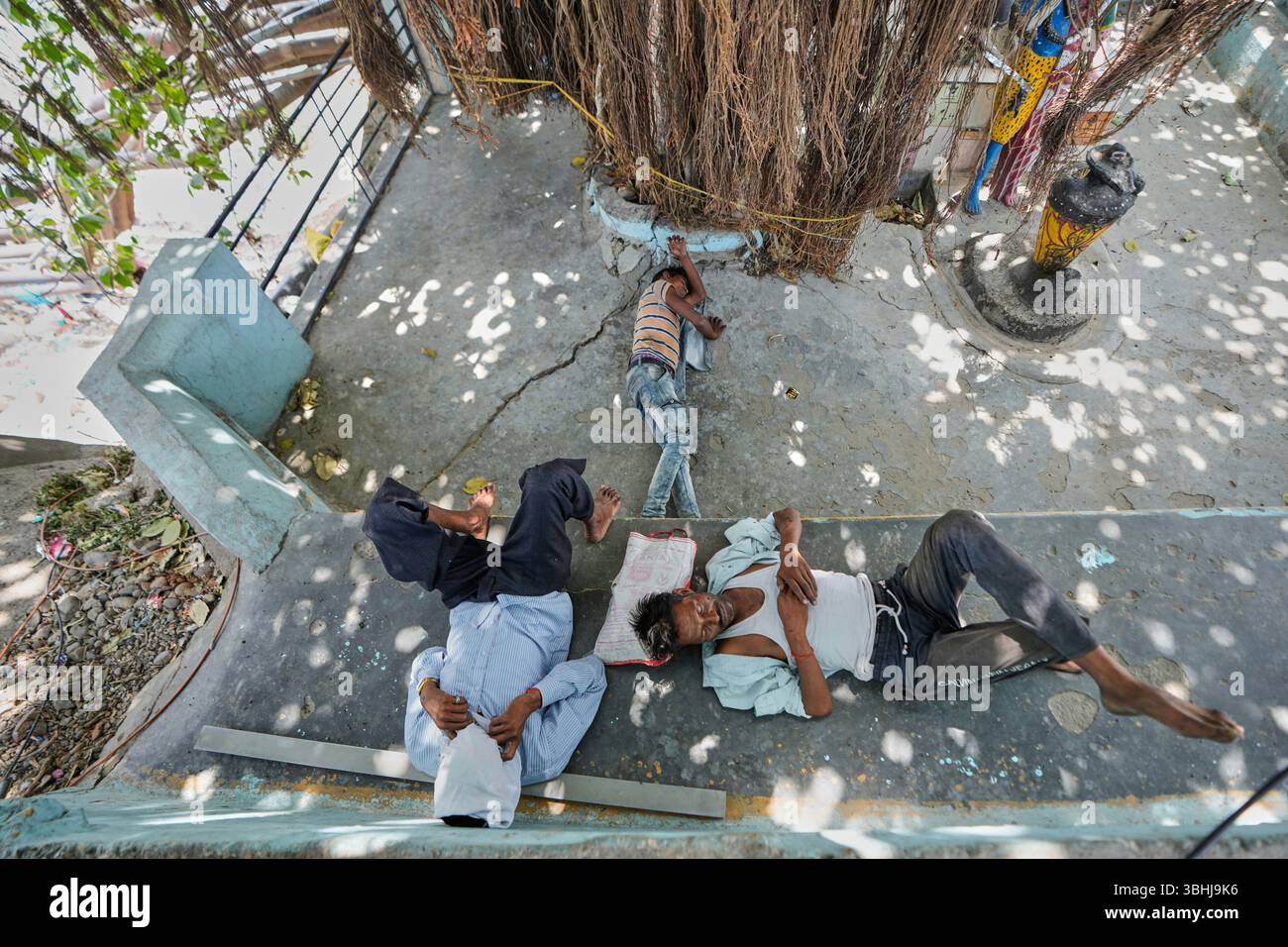 People rest under the shade of a tree on a hot summer day in Jammu ...