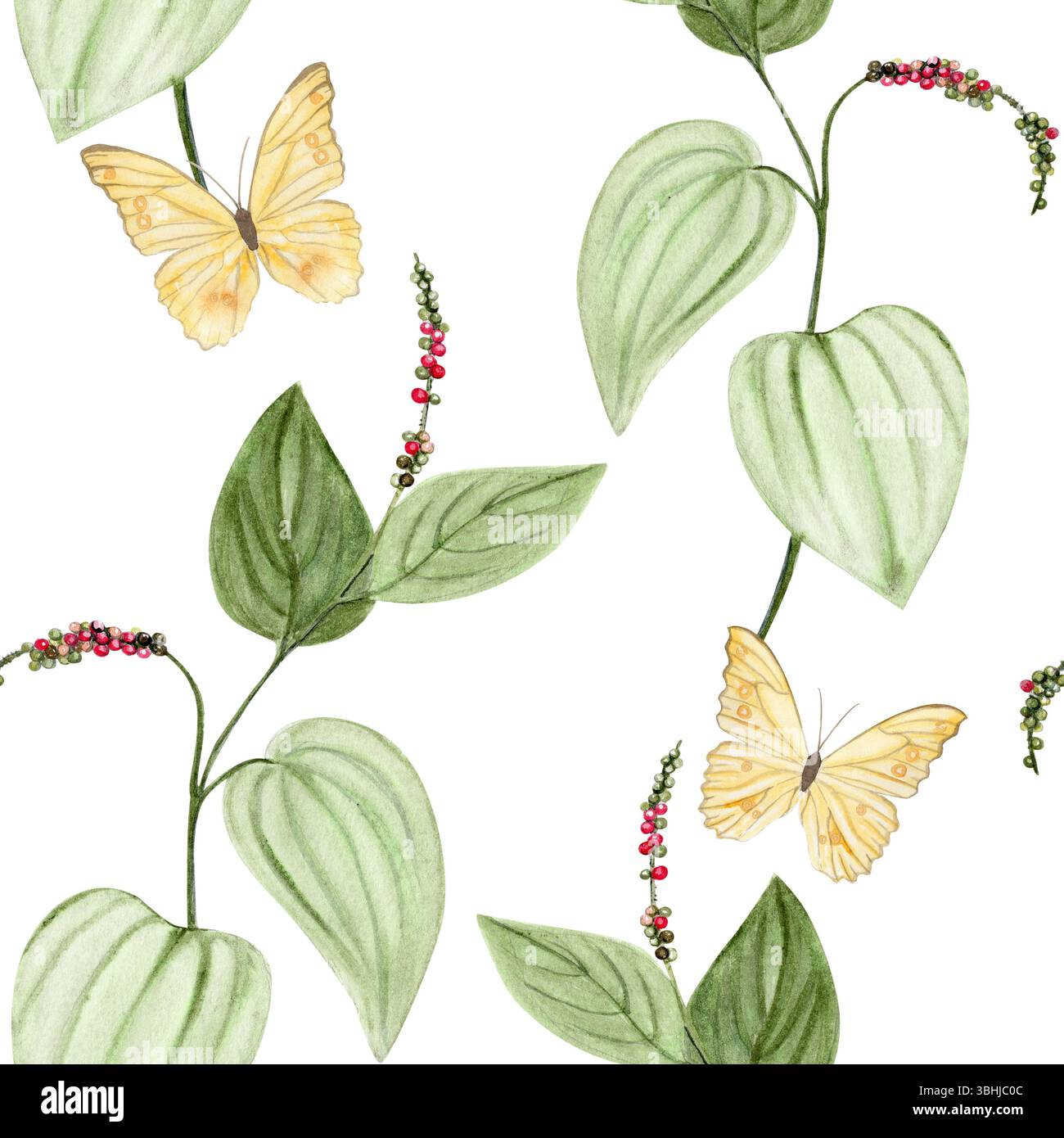 Branch of kampot pepper plant with peppercorns, yellow butterflies ...