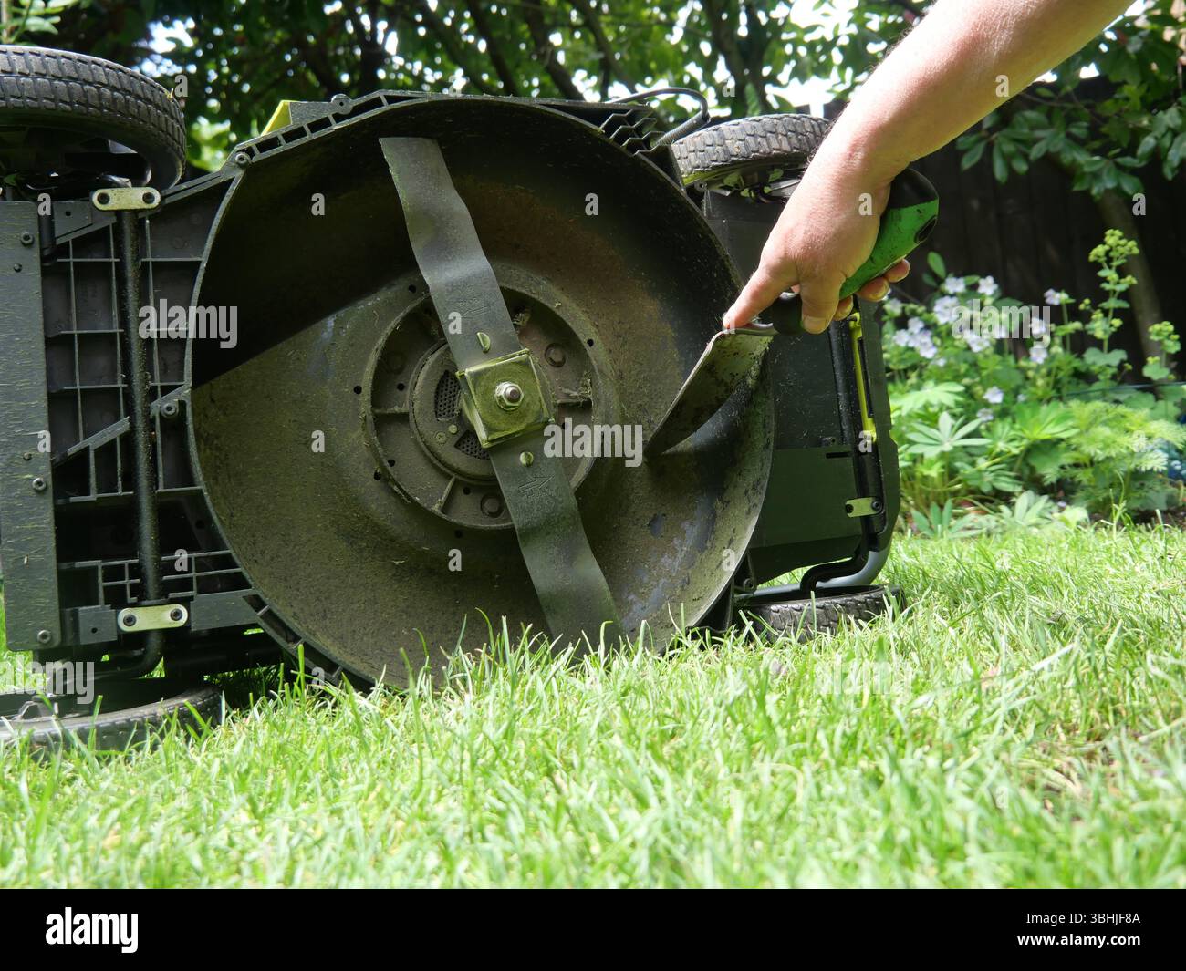 Cleaning underside of lawn mower Stock Photo - Alamy