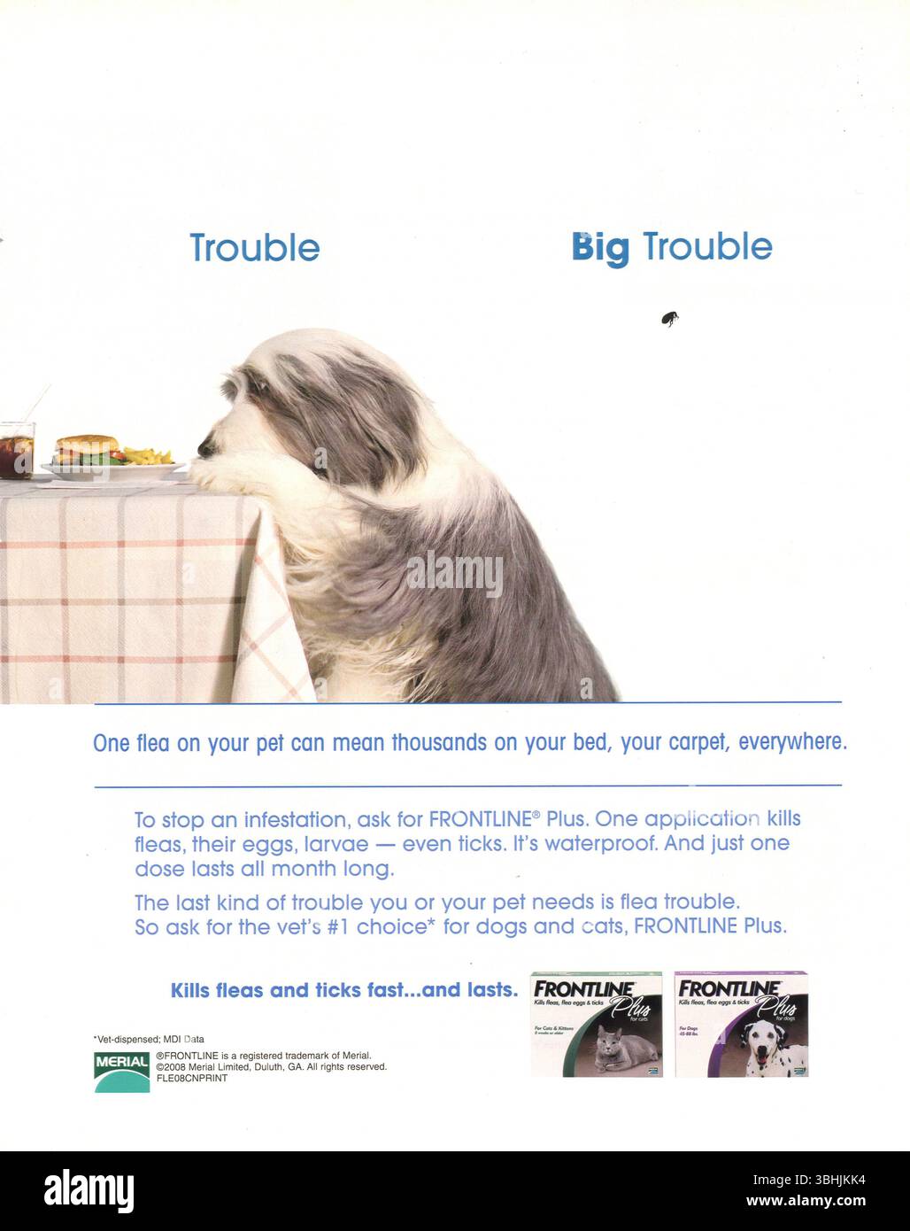 Vintage Marth Stewart Living magazine June 2008 issue advert, USA Stock ...