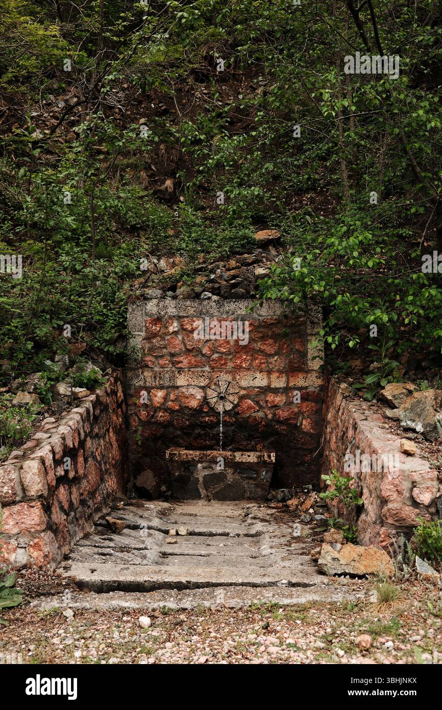 Natural stone spring surrounded by forest greenery in Mokra Gora ...