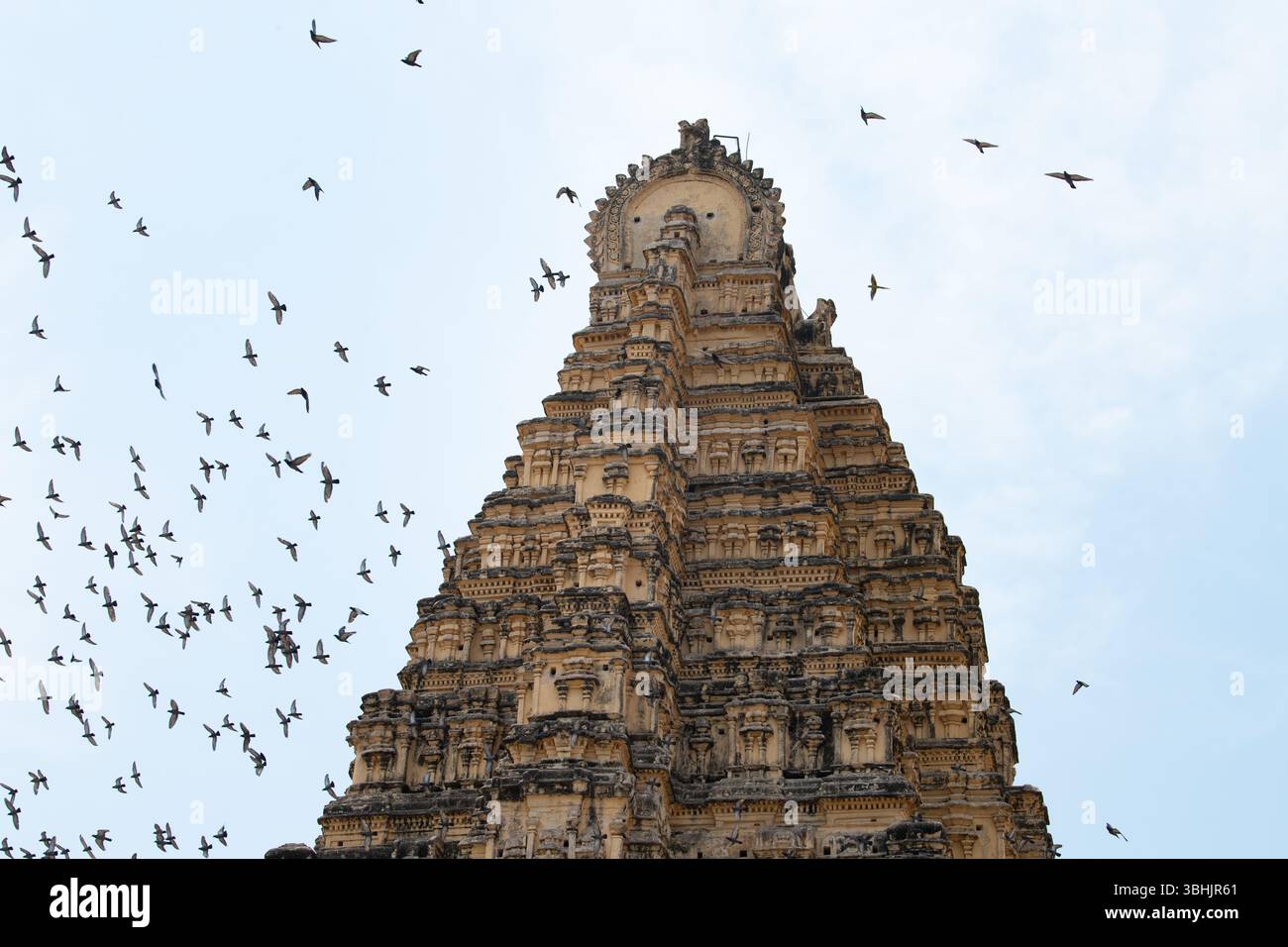 Pigeons Flying Around The Virupaksha Temple In Hampi, South India ...