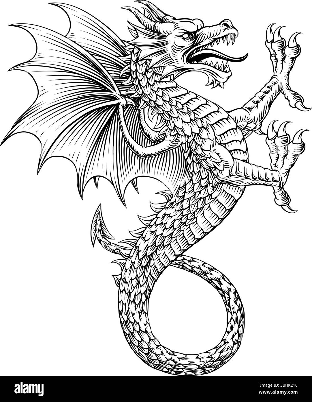 Wyvern heraldry hi-res stock photography and images - Alamy