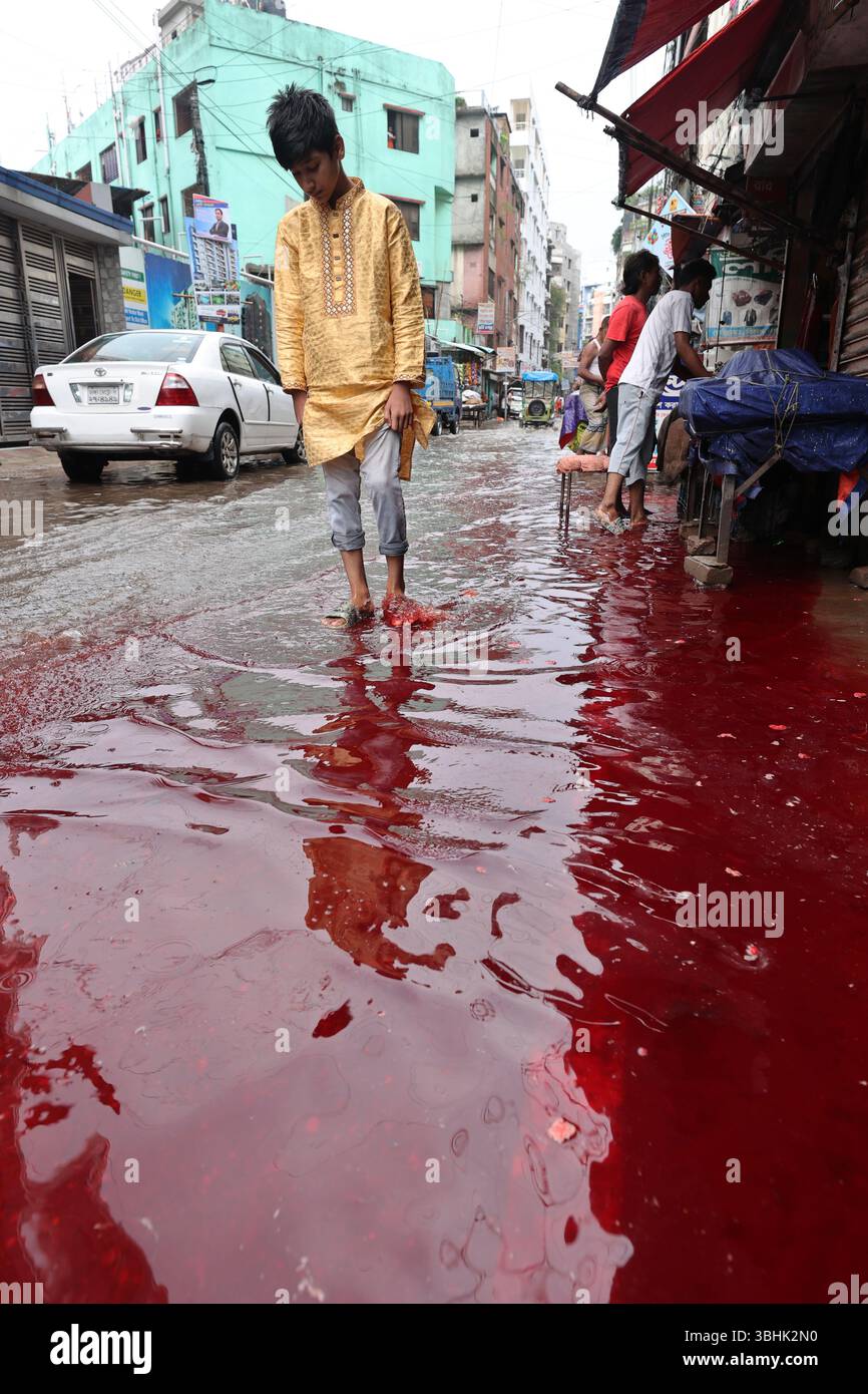 Dhaka, Bangladesh - June 07, 2025: The blood of animal sacrifices mixed ...
