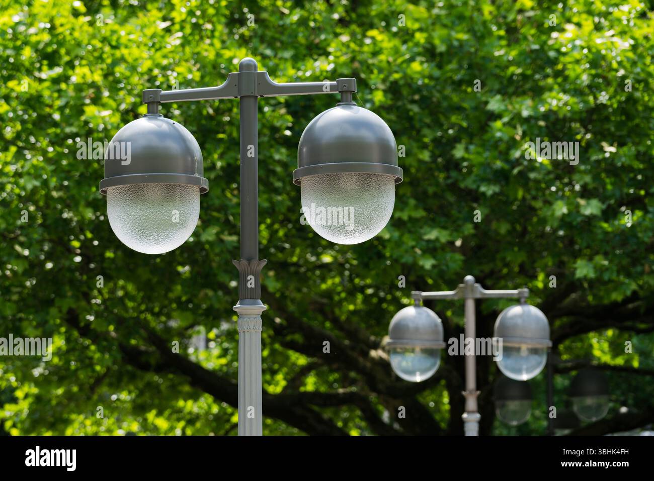 Elegant lamp posts stand amidst lush green trees in a park. The light ...