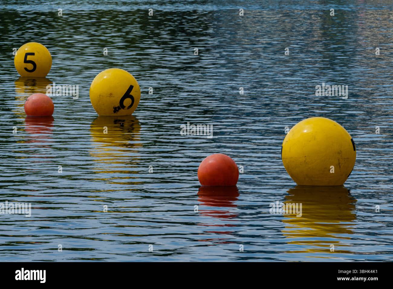 Colorful round buoys float on a serene lake, marking a designated ...