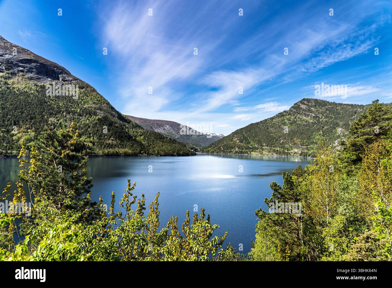 A breathtaking view of a tranquil mountain lake surrounded by green ...