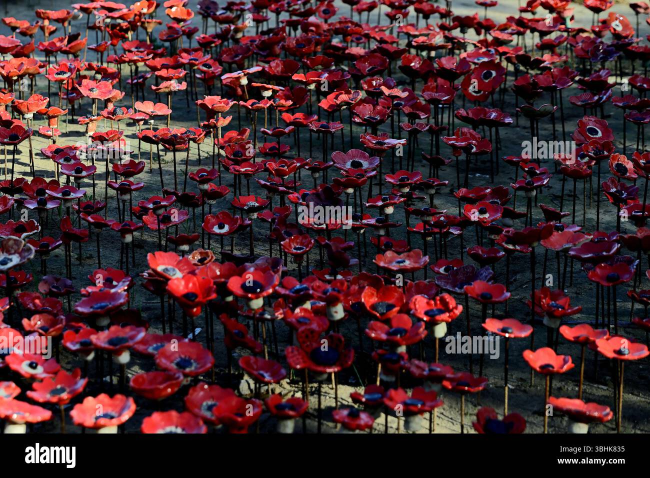 Close-up of red ceramic poppies at Re’im Forest October 7 Memorial ...