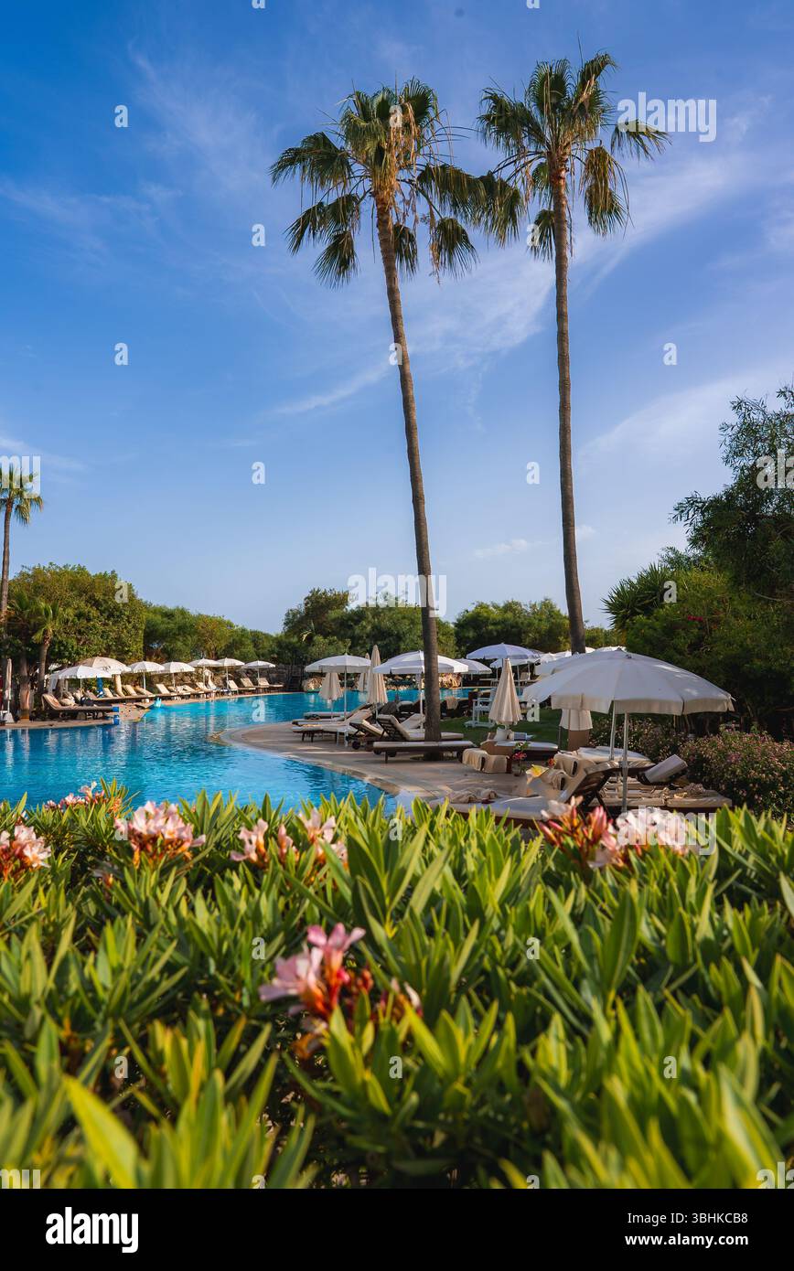 Luxurious Resort Pool with Palm Trees and Vibrant Flowers in Cyprus ...