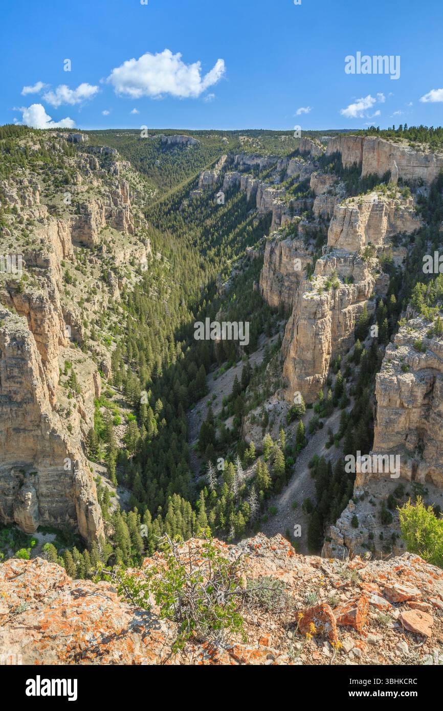 Mt d1801 hi-res stock photography and images - Alamy