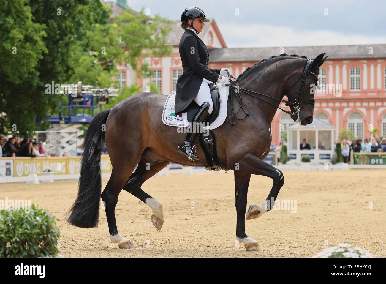 Wiesbaden, Deutschland. 08th June, 2025. Wiesbaden, Deutschland 08 ...