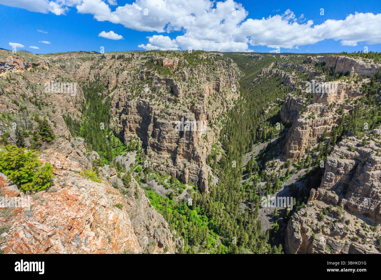 confluence of crooked creek (left) and cave canyons in the pryor ...