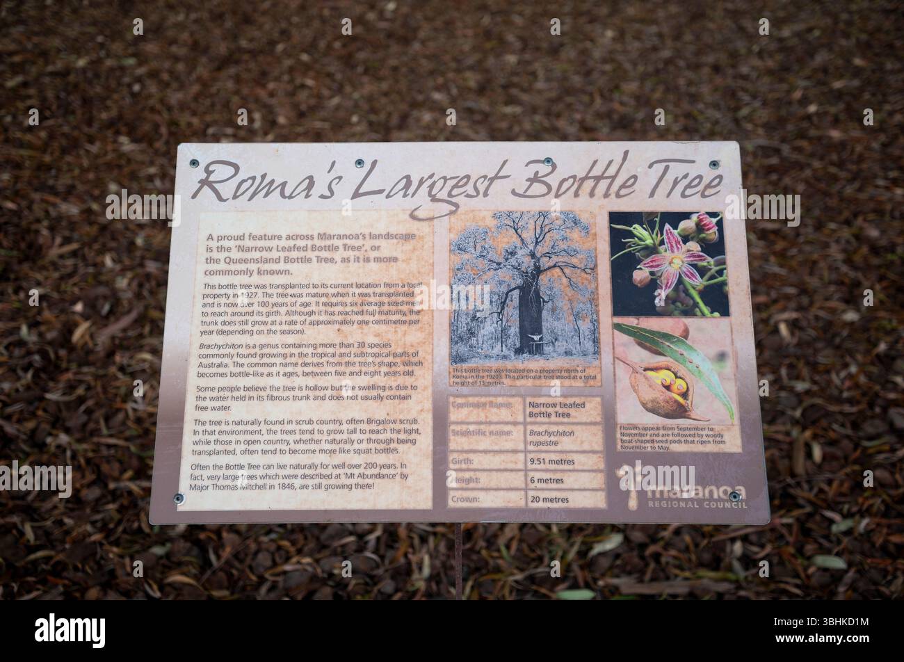 Largest Bottle Tree Tourist Information Plaque, Roma, Australia, 28 ...