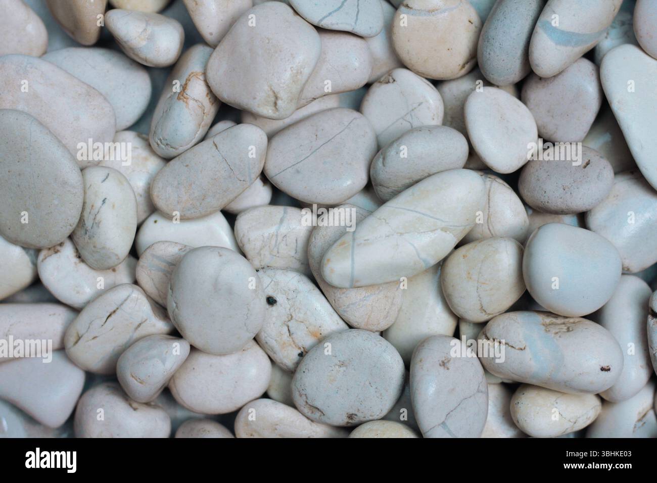 Background soft gray shadow hi-res stock photography and images - Alamy