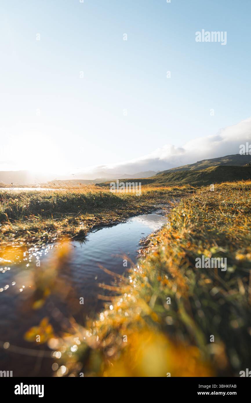 Kirkjufell mountain at sunrise with golden grasslands and soft clouds ...