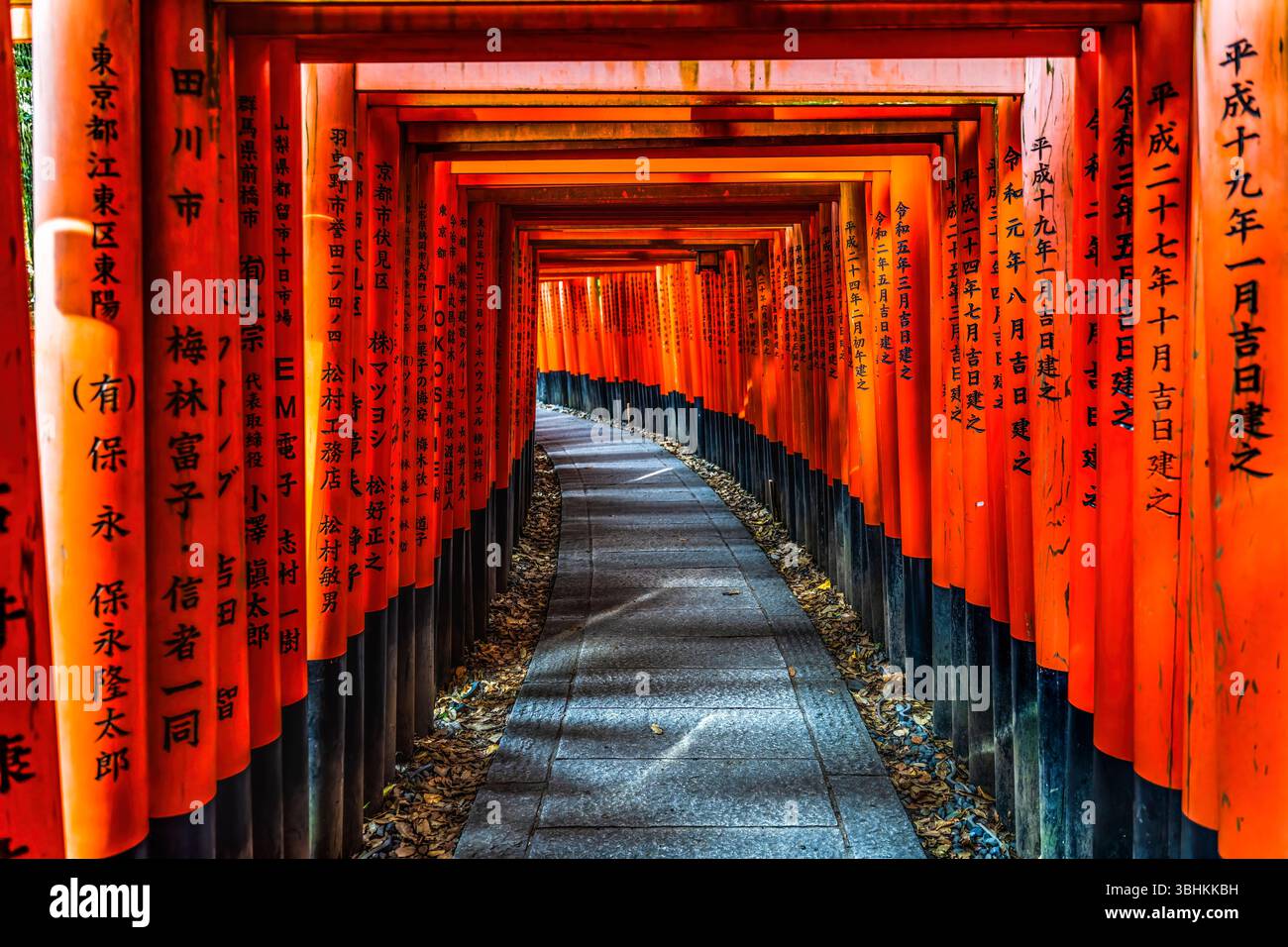 Colorful Red Row Tori Gates Fushimi Inari Shinto Shrine Kyoto Japan ...