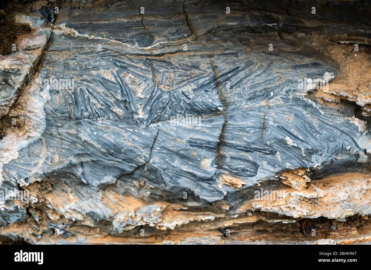 Outcrop of Carbonate Breccia consisting of clasts of broken rock chips ...