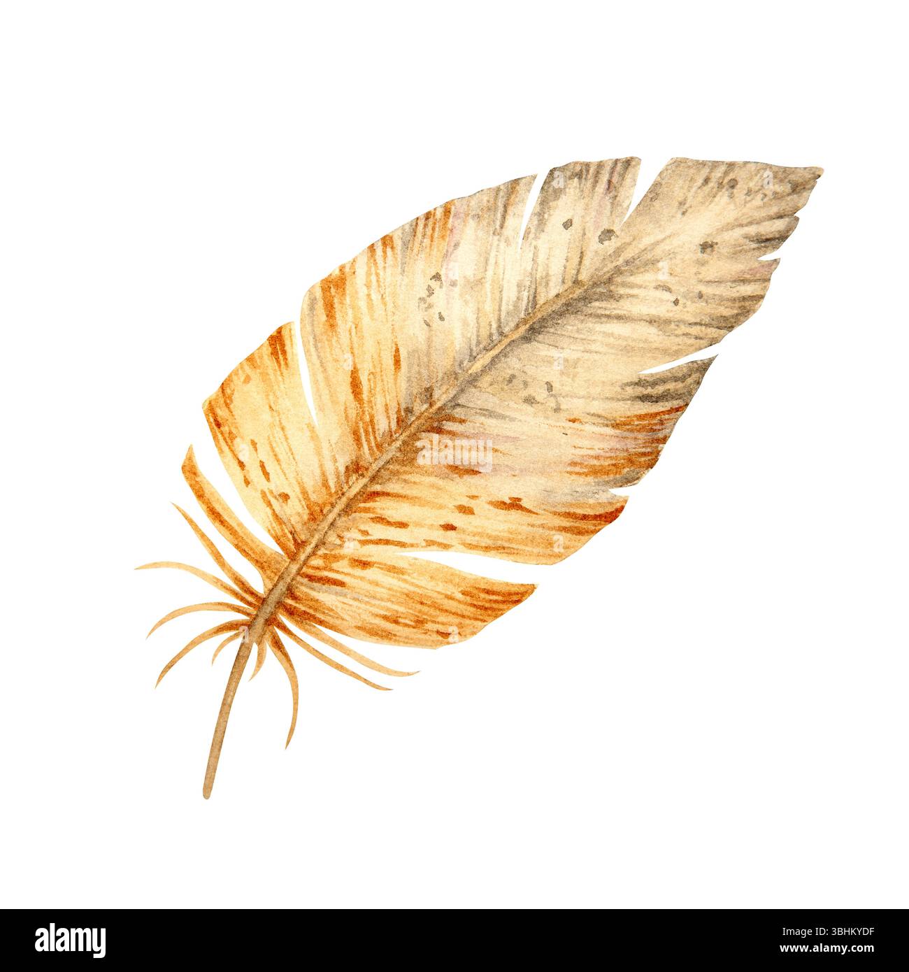 Watercolor illustration of a single brown feather with soft texture and ...