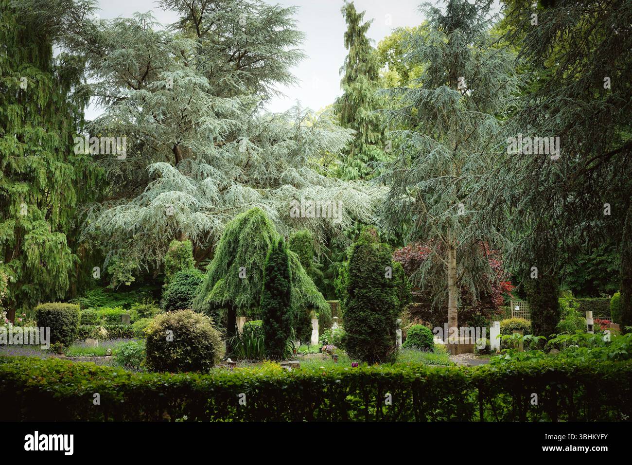 Modern Burial Garden At Cologne's Melaten Cemetery In A Beautiful ...