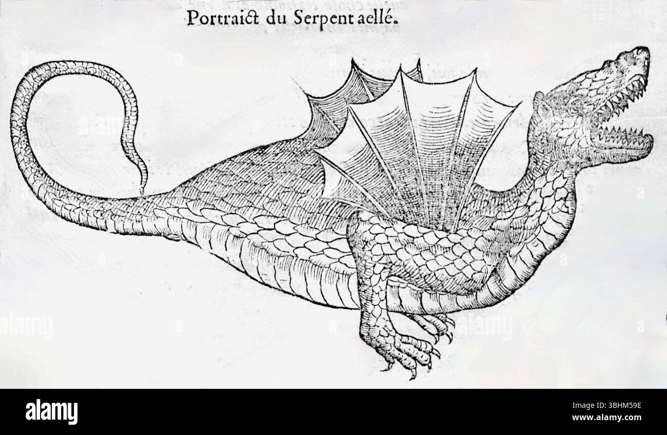 Serpent line art hi-res stock photography and images - Alamy