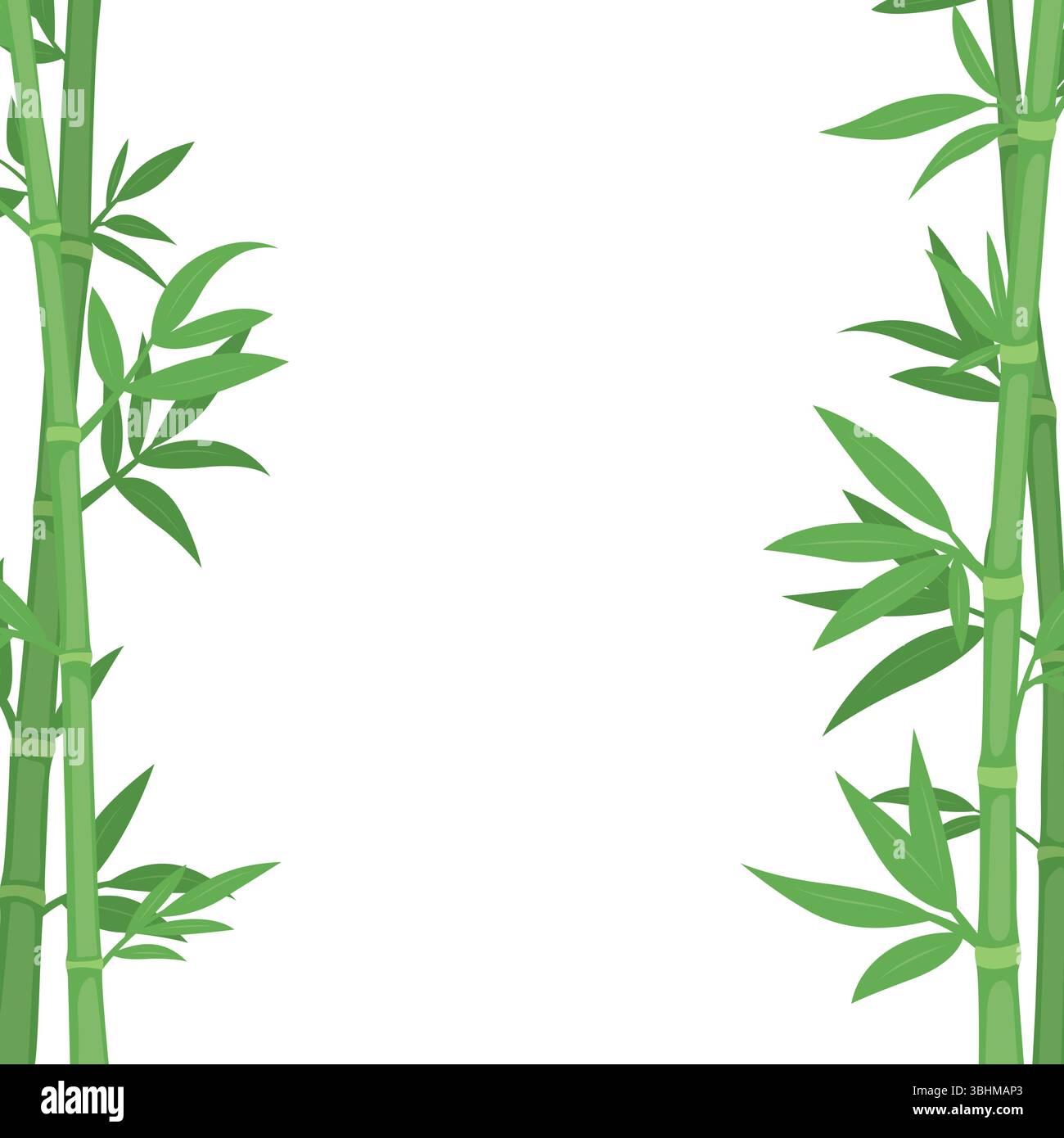 Tropical Bamboo Frame with Green Leaves on White Background. Design ...
