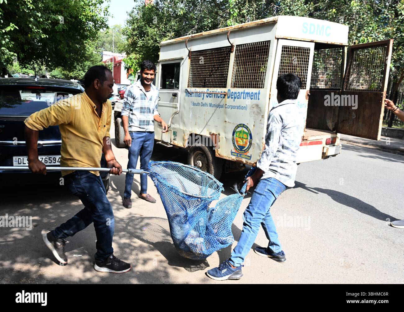 NEW DELHI, INDIA - JUNE 10: Workers from MCD Veterinary department seen ...