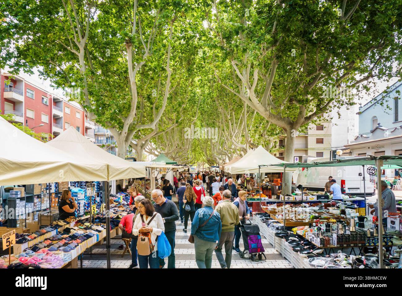 Oliva market hi-res stock photography and images - Alamy