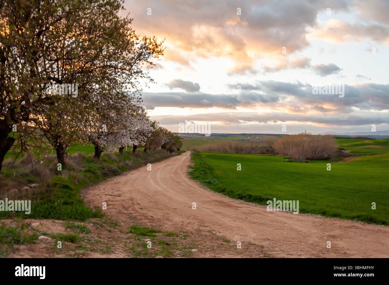 A winding dirt road leads through vibrant green fields as the sun sets ...