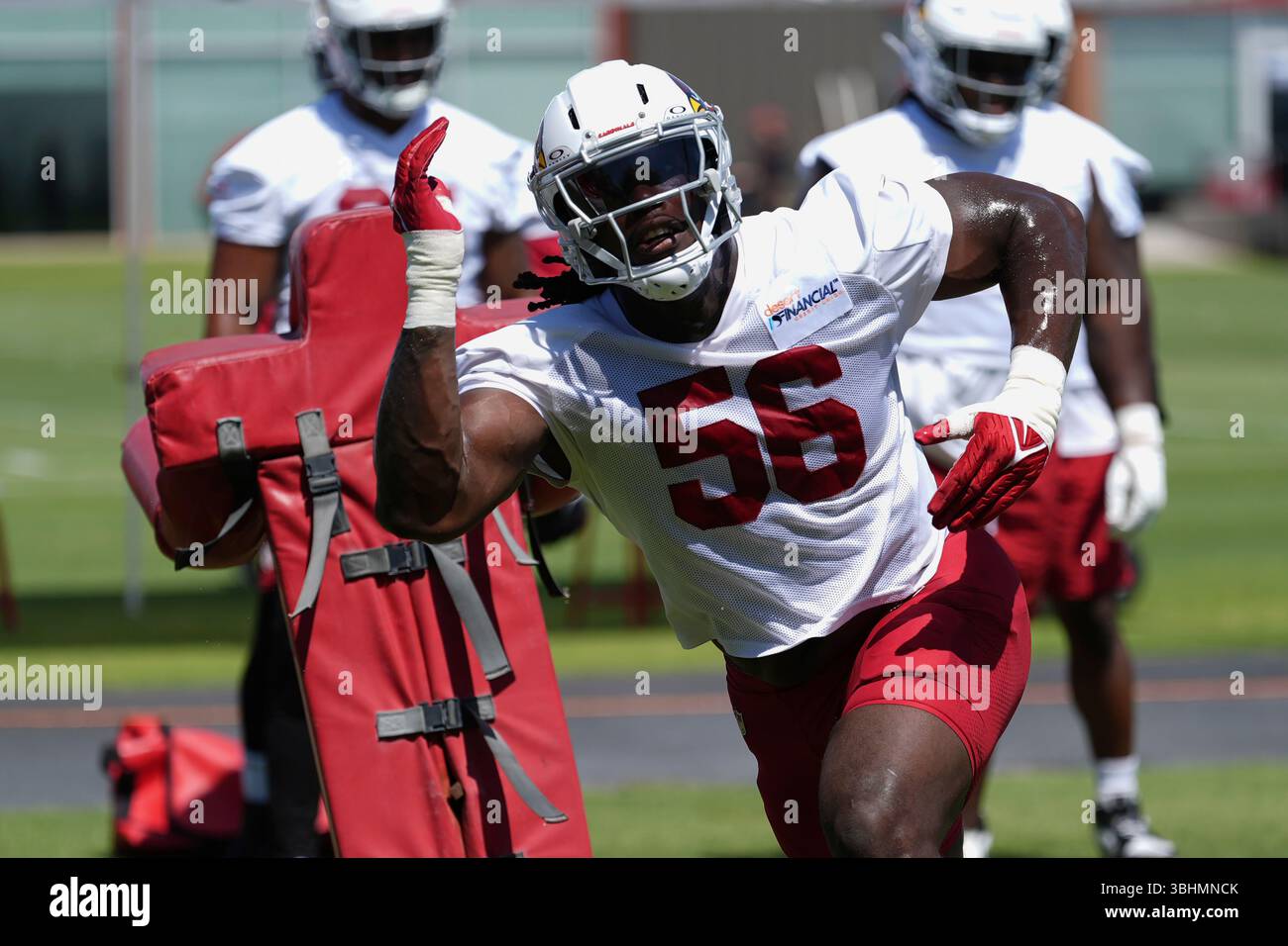 Arizona Cardinals defensive lineman Darius Robinson works out during an ...
