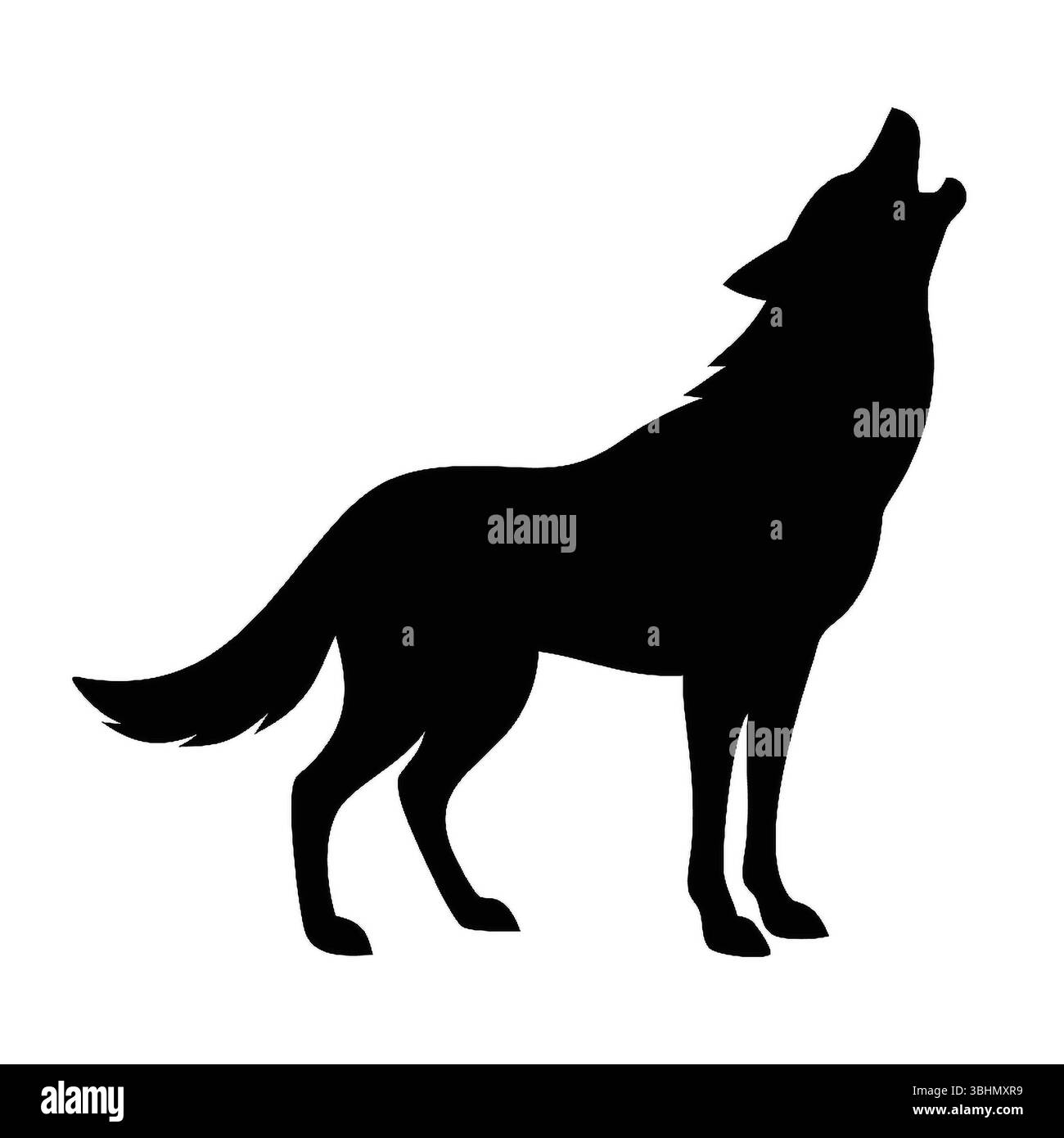 Wolf timber wolf animal image Cut Out Stock Images & Pictures - Alamy
