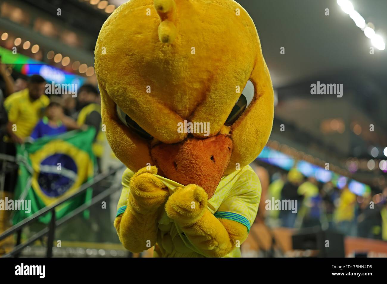 Sao Paulo, Brazil. 10th June, 2025. Arena Corinthians Canarinho, mascot ...
