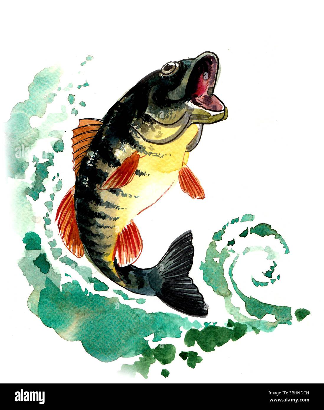 Watercolor drawing of jumping fish Stock Photo - Alamy