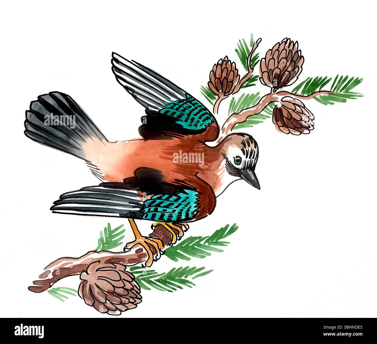 Bird pine tree art Cut Out Stock Images & Pictures - Alamy