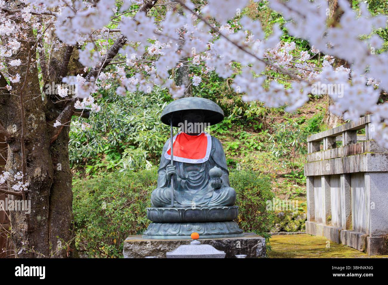 Hasedera Temple with cherry blossoms, a Buddhist temple for the Buzan ...