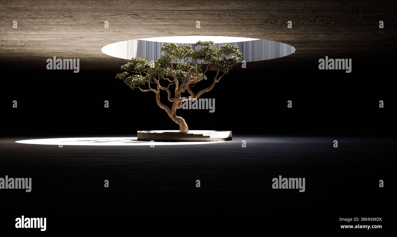 Bonsai tree growing in a spotlight from a round skylight inside a dark ...
