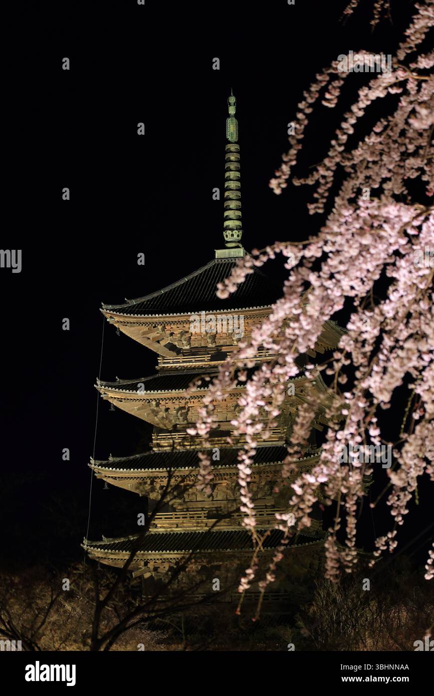 Toji Temple with cherry blossoms, a Historic Buddhist temple with a 5 ...