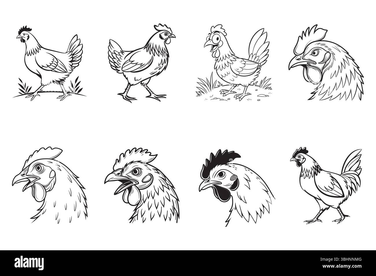 Hand Drawn Chicken Sketches Clipart | Farm Hen Illustrations Stock ...