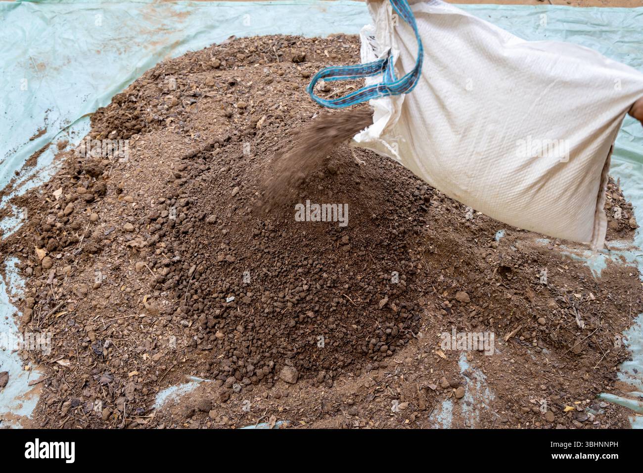 natural soil enhancement using vermi compost with garden soil at ...